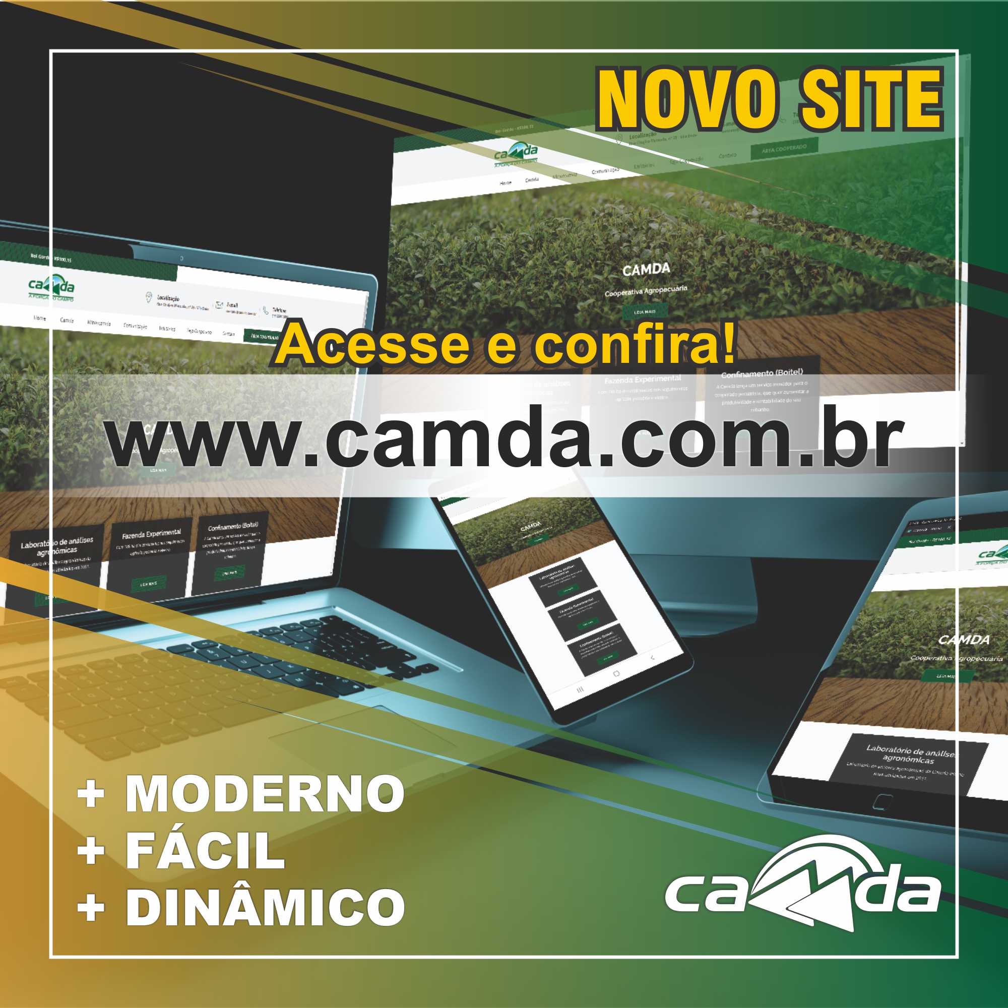 Camda lança novo site com informações ágeis e dinâmicas para o ...